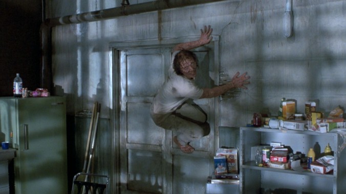 LA MOSCA. Una tragedia clásica de horror corporal y ciencia ficción ...